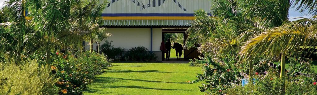 Garanhões - Central Rancho das Américas